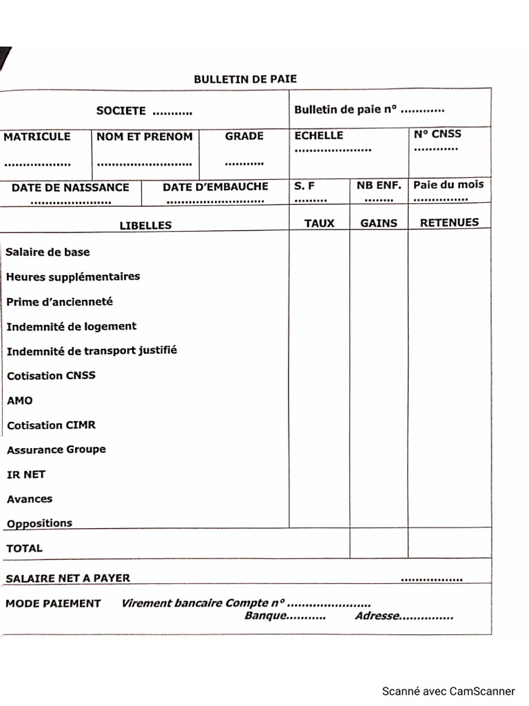 Modèle Bulletin de Paie | PDF