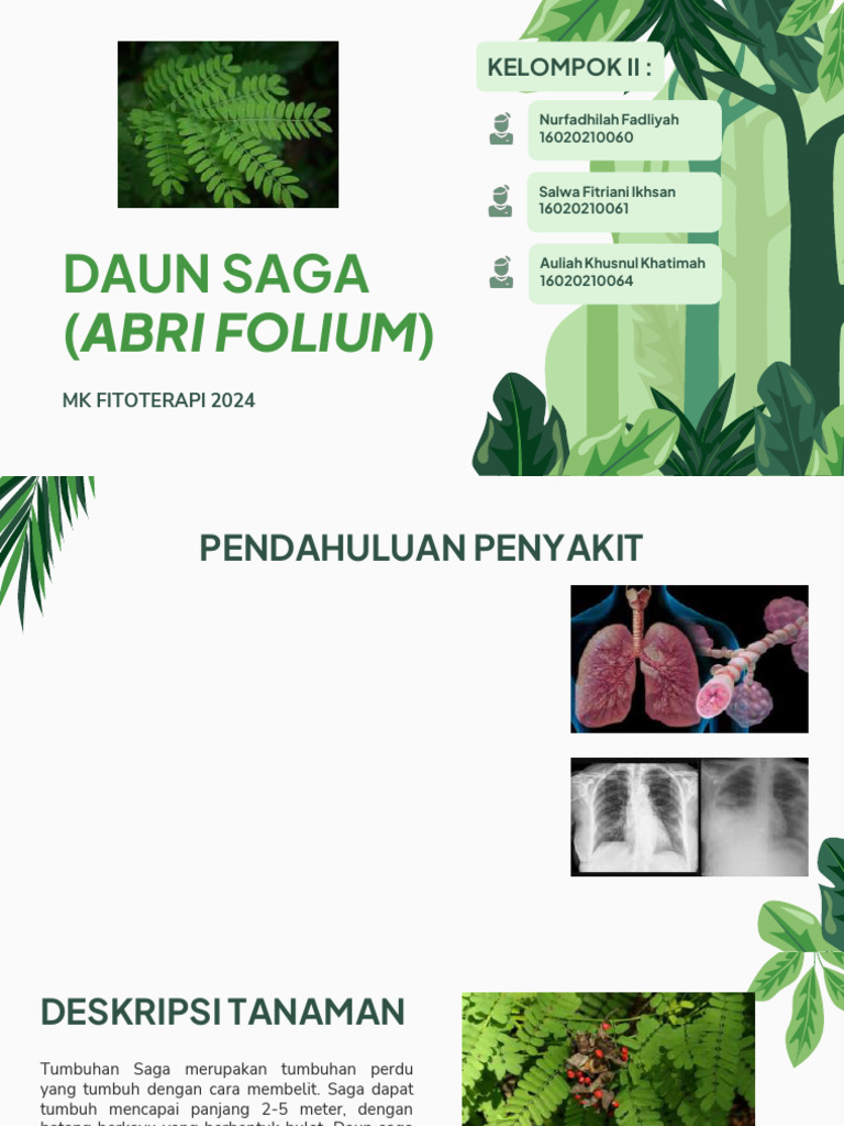 Abri Folium - Asma Dan Pneumonia - Kelompok 2 | PDF | Kesehatan Holistik