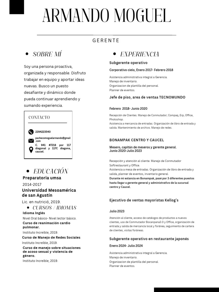 Perfil Profesional de Armando Moguel | PDF | Business