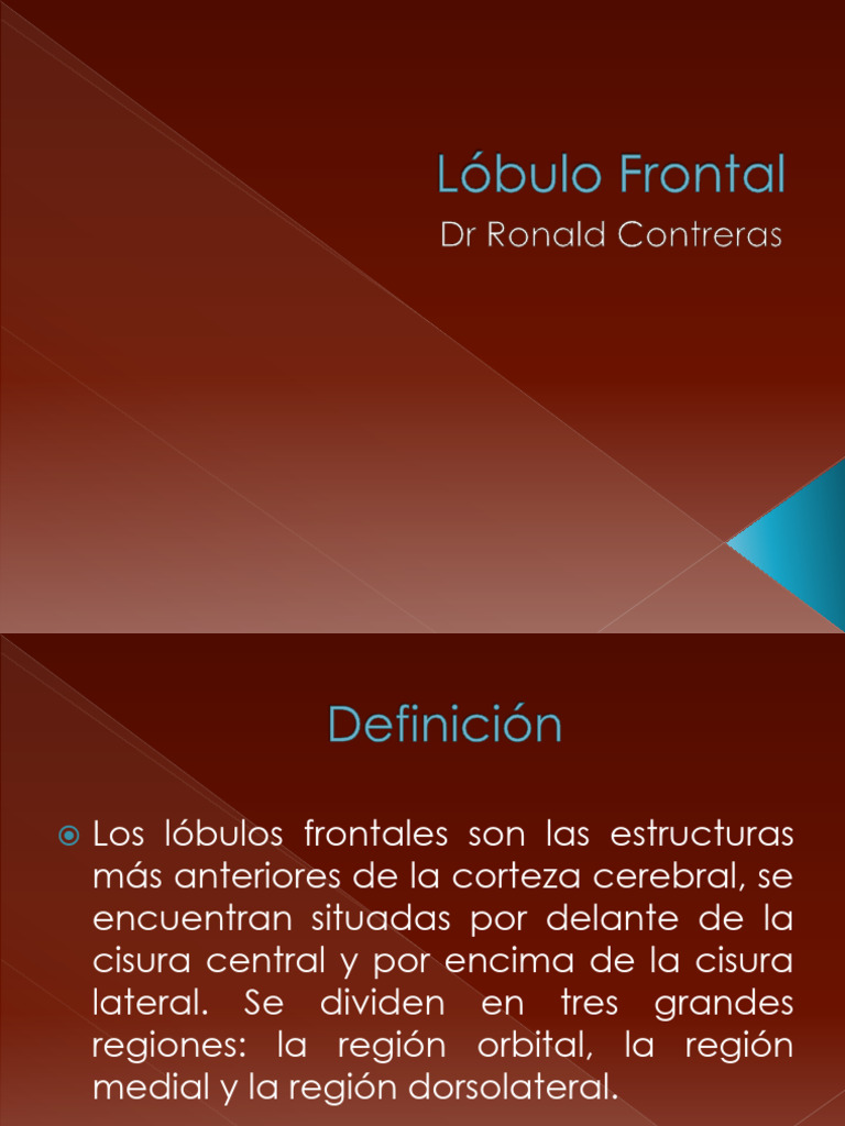 Lóbulo Frontal | PDF | Lóbulo frontal | Corteza cerebral