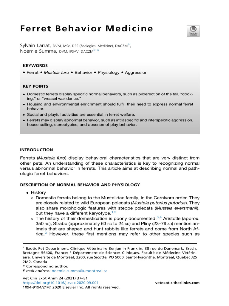 Ferret Behaviour | PDF | Neutering | Aggression