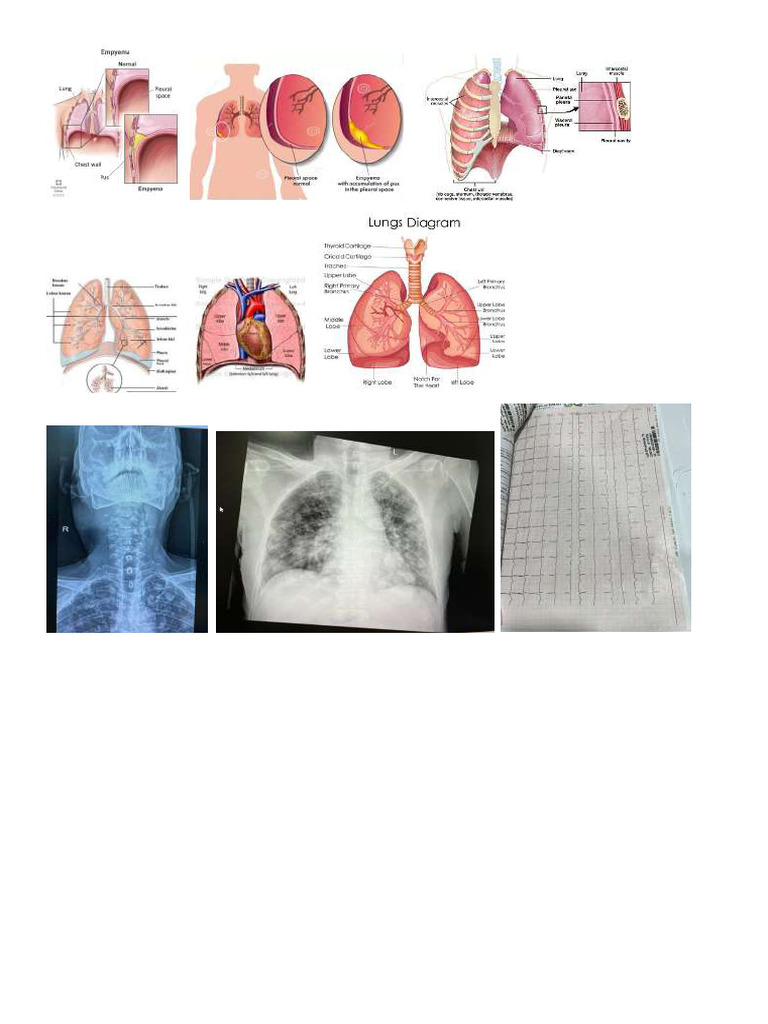 Print Warna 1 Rangkap | PDF
