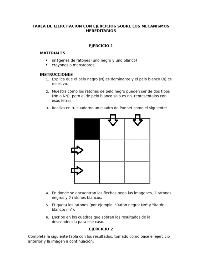 Ejercicios de Herencia 2 | PDF | Métodos y materiales de enseñanza