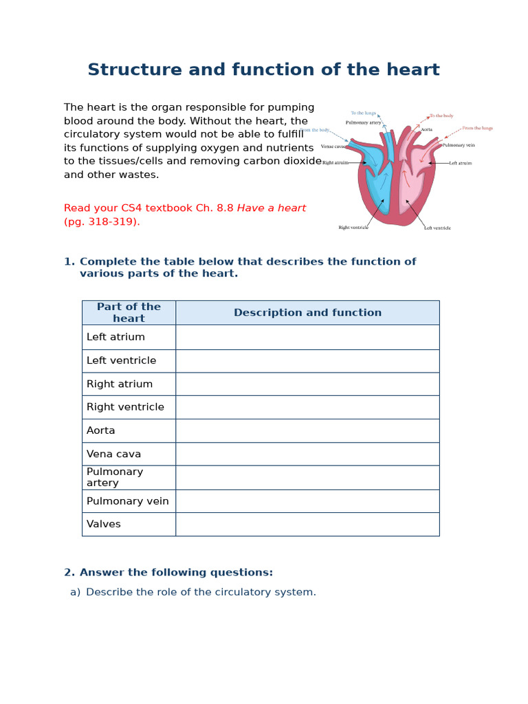 Heart Structure and Function | PDF | Sports & Recreation | Foreign ...
