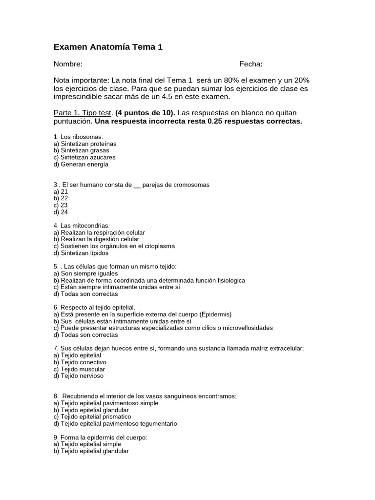 wqmqny_Simulacro_Examen_Anatomia_Tema_1 | PDF | Epitelio | Neurona