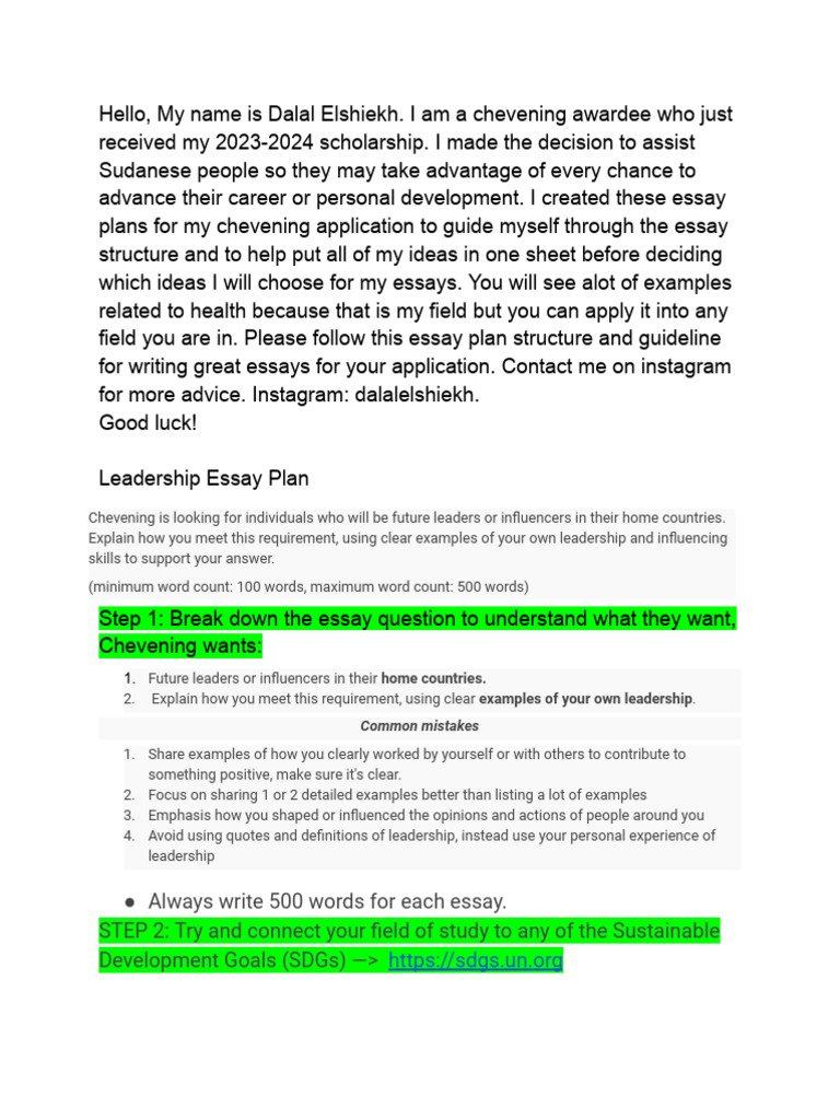 LEADERSHIP ESSAY PLAN | PDF | Leadership | Essays