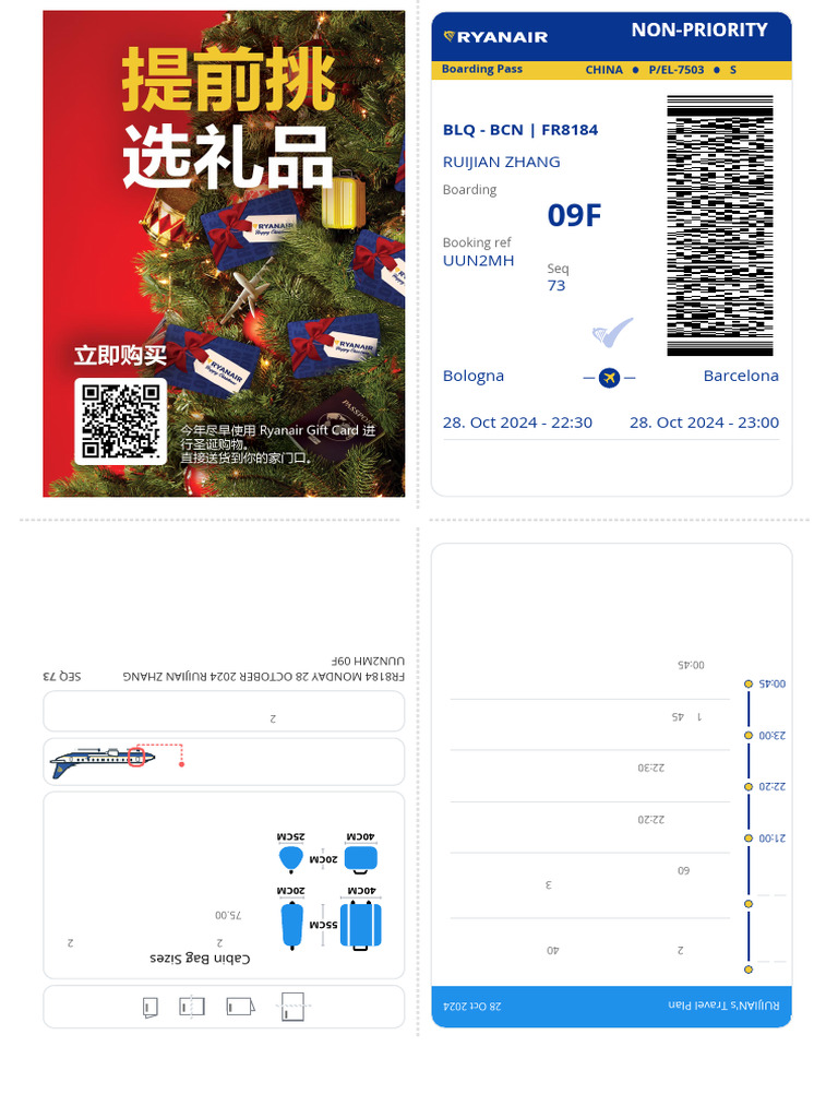 Boarding Pass (2) | PDF