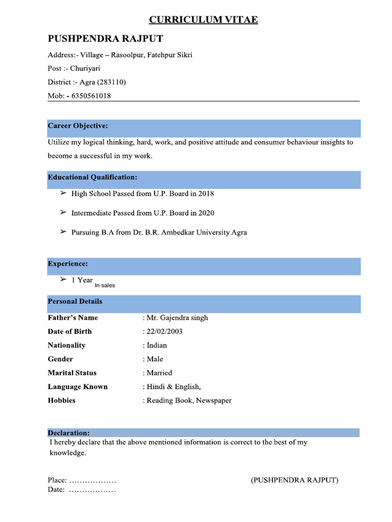 Pushpendra Resume Ex | PDF