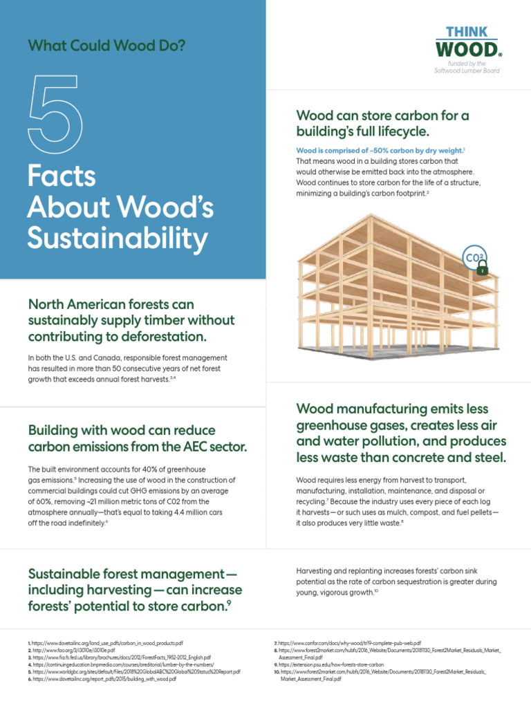 Think Wood Sustainability Fact Sheet 04042022 | PDF | Lumber | Wood