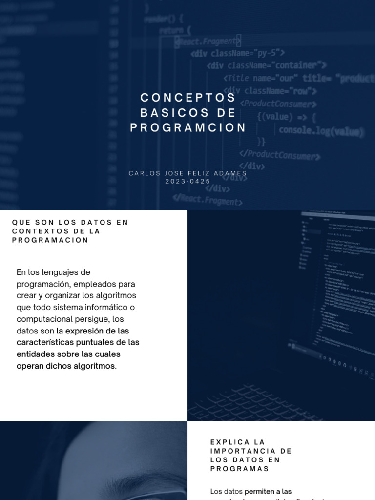 Conceptos Basicos de Programacion | PDF | Algoritmos | Lógica