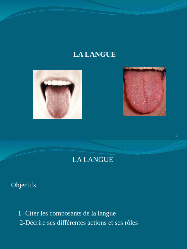 La Langue | PDF | Langue | Anatomie humaine