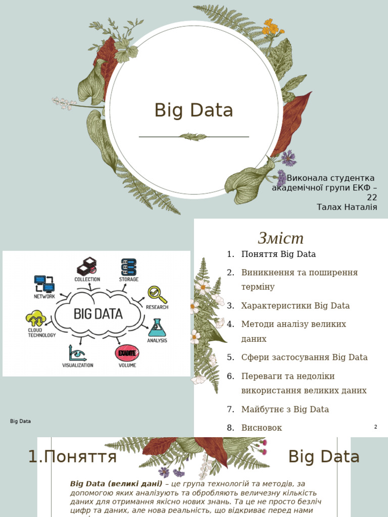 Big Data | PDF