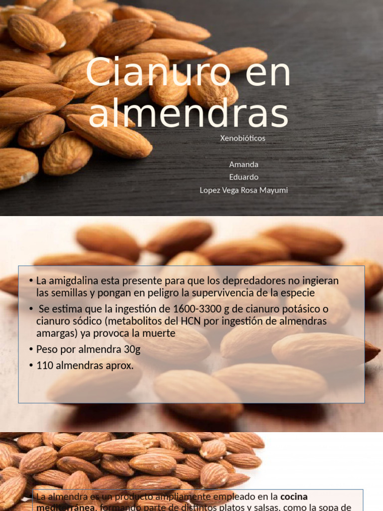 Cianuro en Almendras | PDF