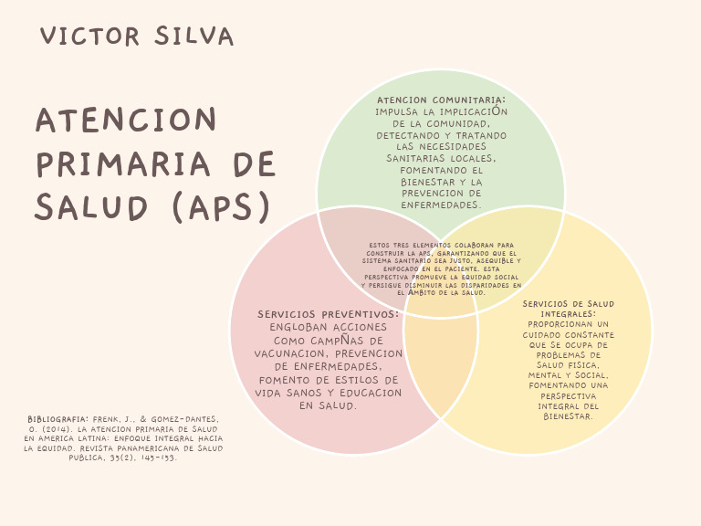 Atencion primaria de salud (APS) | PDF | Medicina | Programas sociales