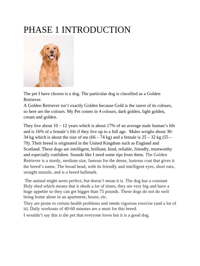 Phase 1 Introduction | PDF | Cooking, Food & Wine