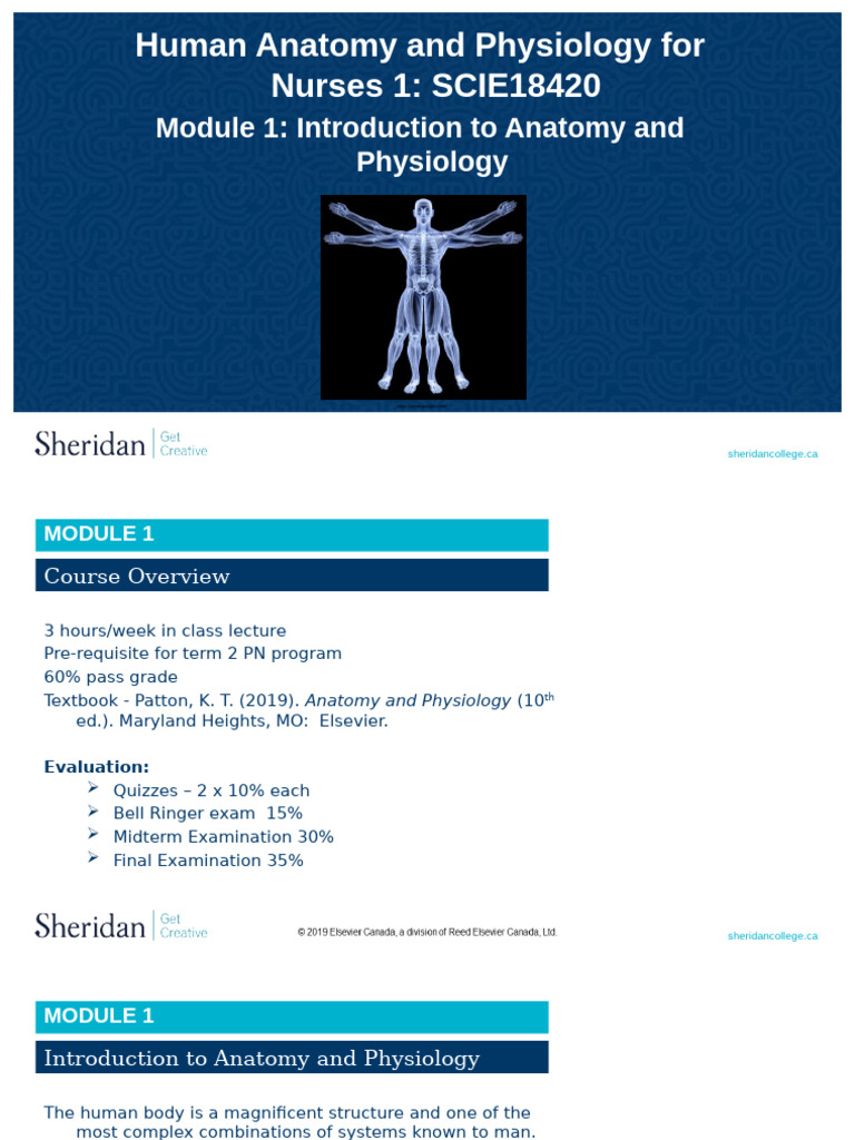 Module #1 - Intoroduction To Anatomy and Physiology | PDF | Anatomical ...