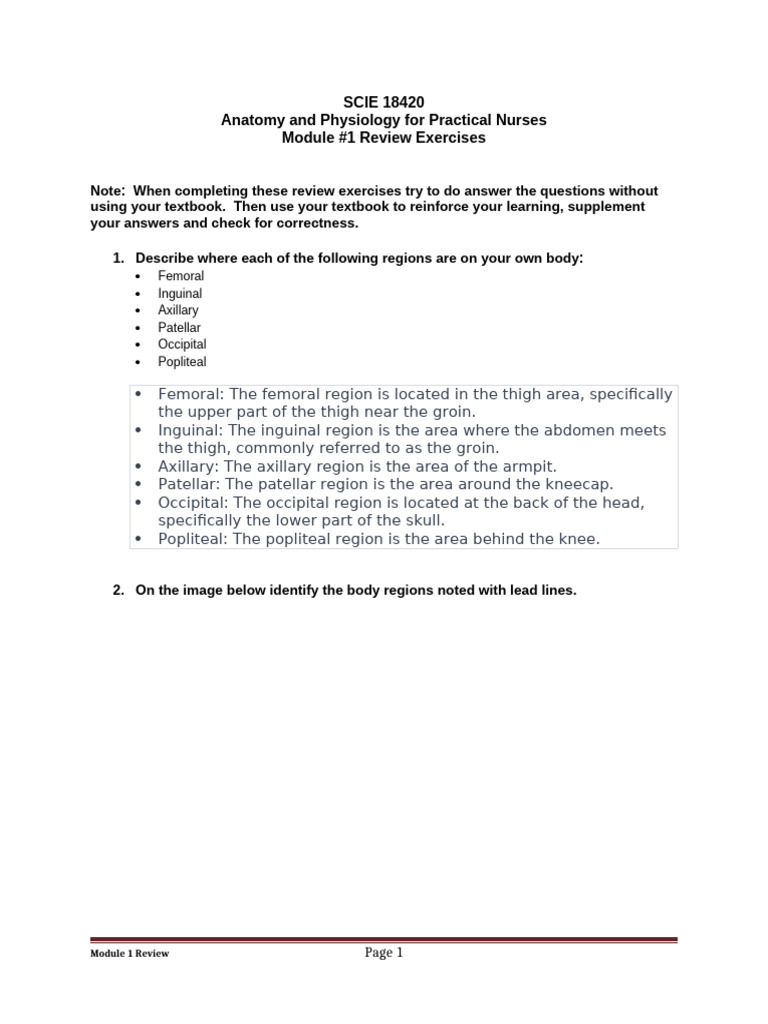 Module #1 Review Exercises | PDF | Anatomical Terms Of Location | Abdomen