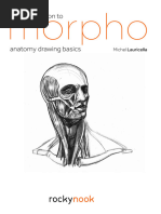 Morpho Simplified Forms Anatomy For Artists | PDF