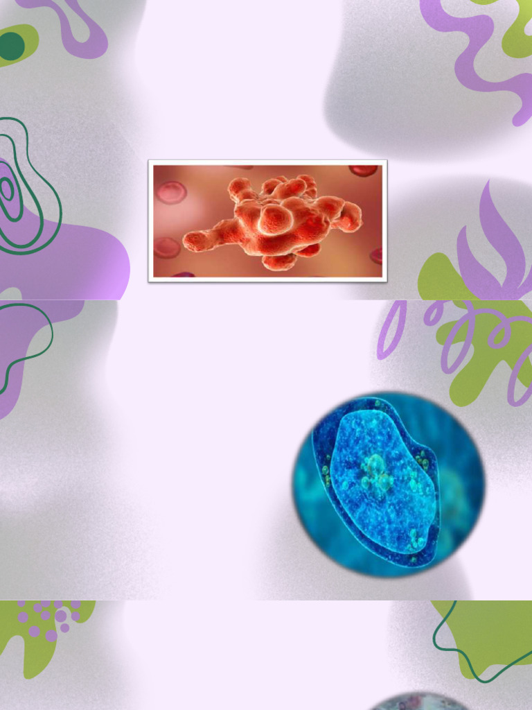 Amebiasis ACT | PDF | Gastroenterología | Causas de la muerte