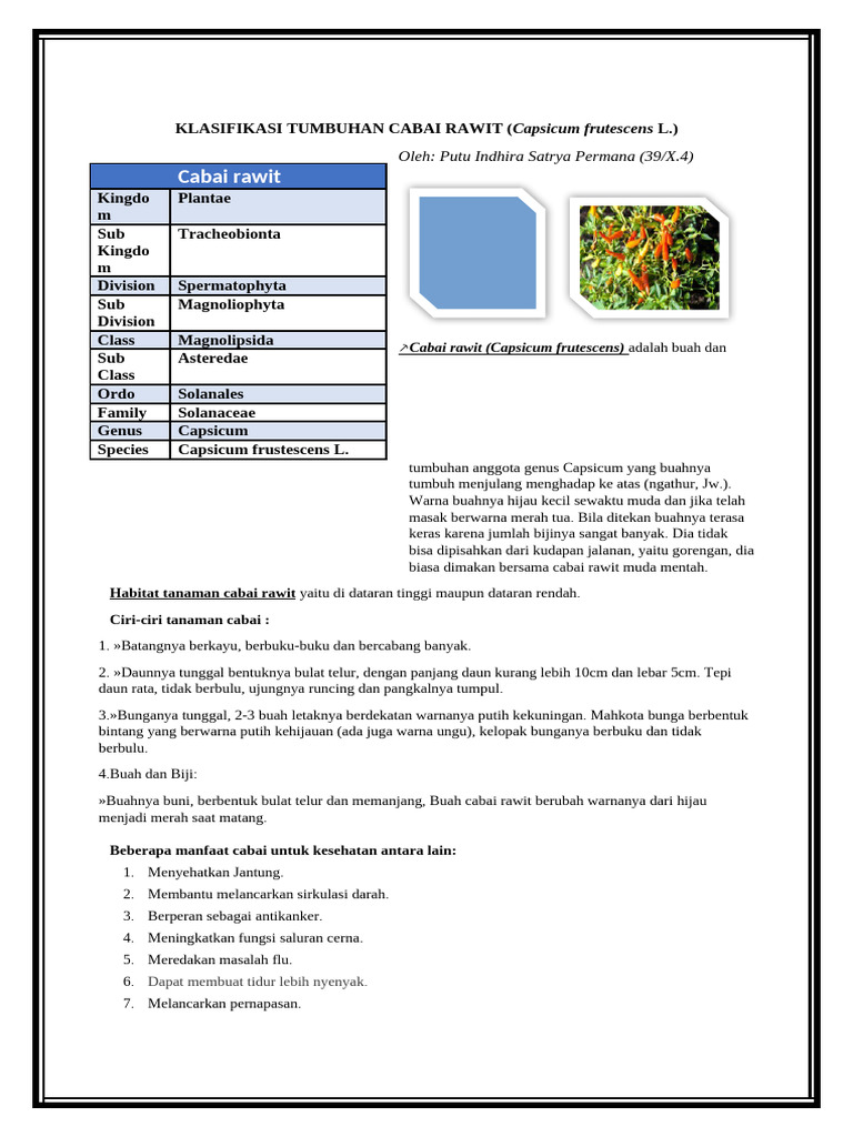 Klasifikasi Tumbuhan Cabai - 091731 | PDF