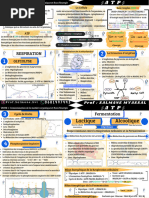 S Zoubair Cours 2PC Biof Muscle 2partie | PDF | Muscle | Contraction du muscle