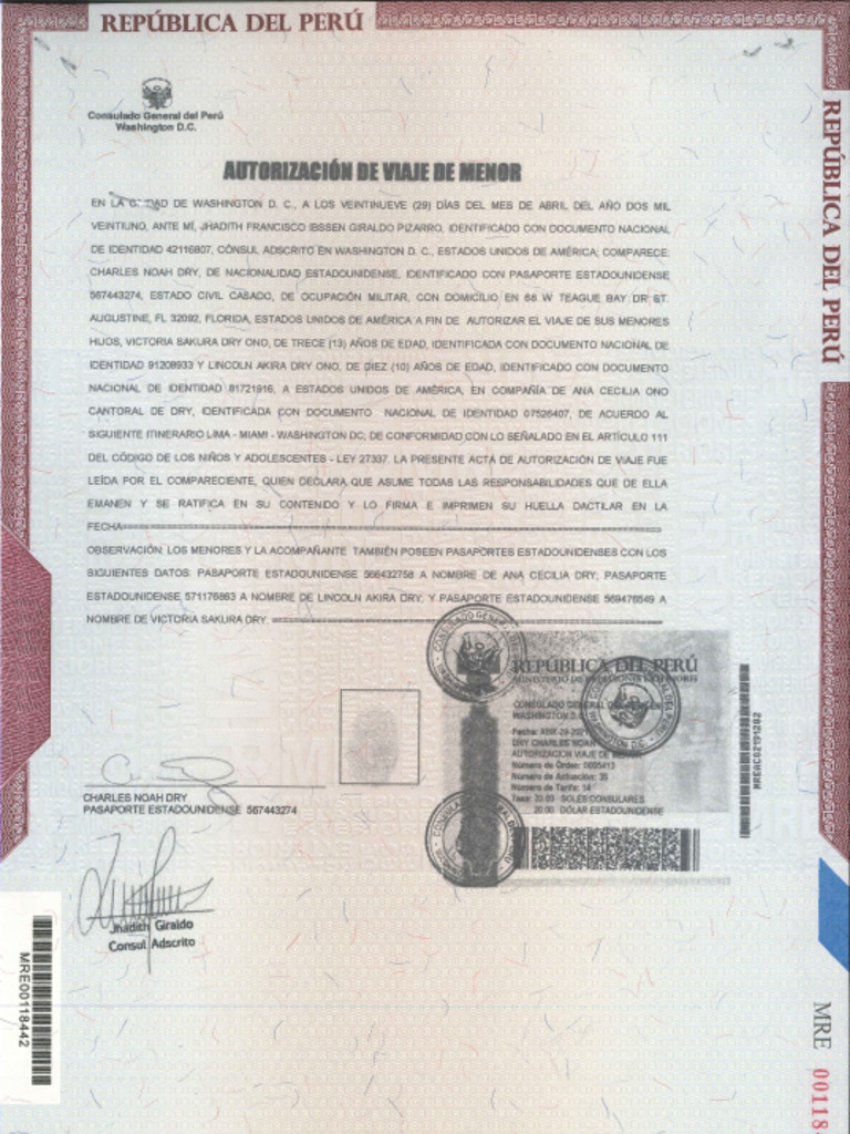 Poder Consular | PDF