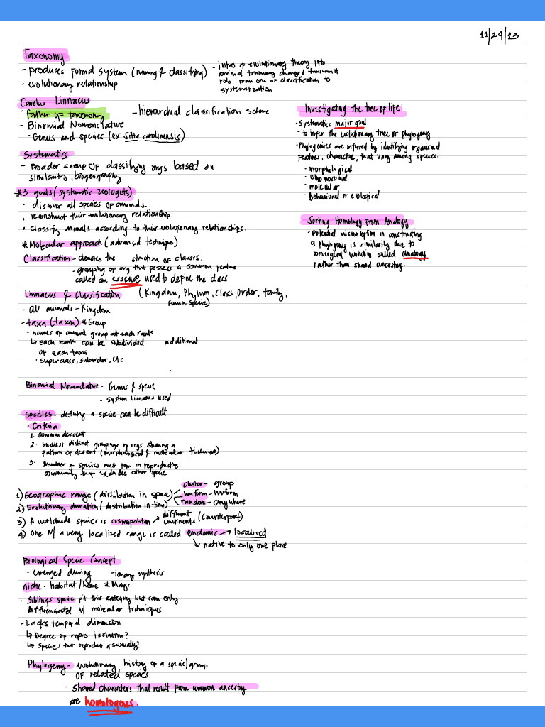 Classification Taxonomy Patterns of Org | PDF