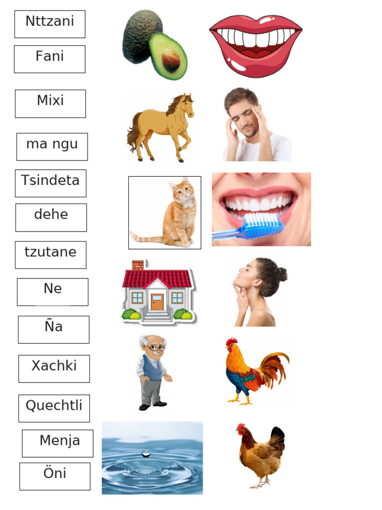 Palabras en Otomi | PDF