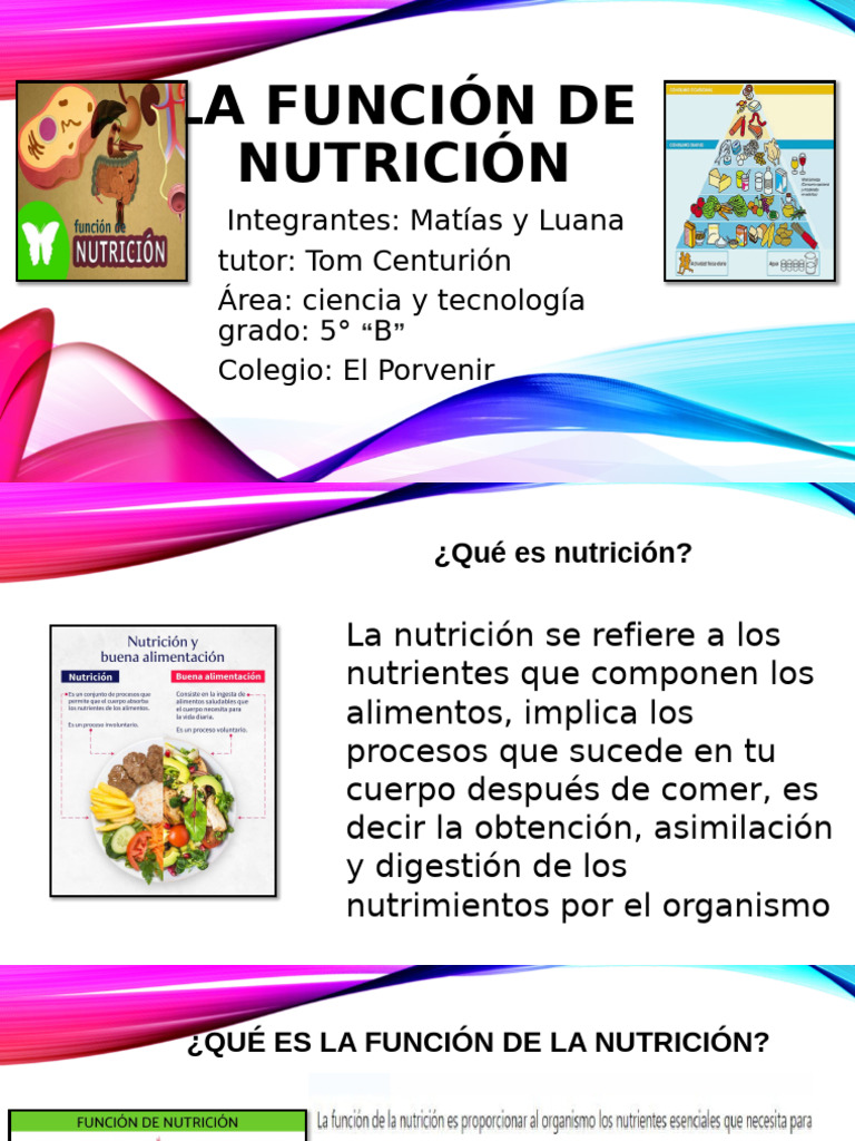 Función de Nutrición en Seres Vivos | PDF