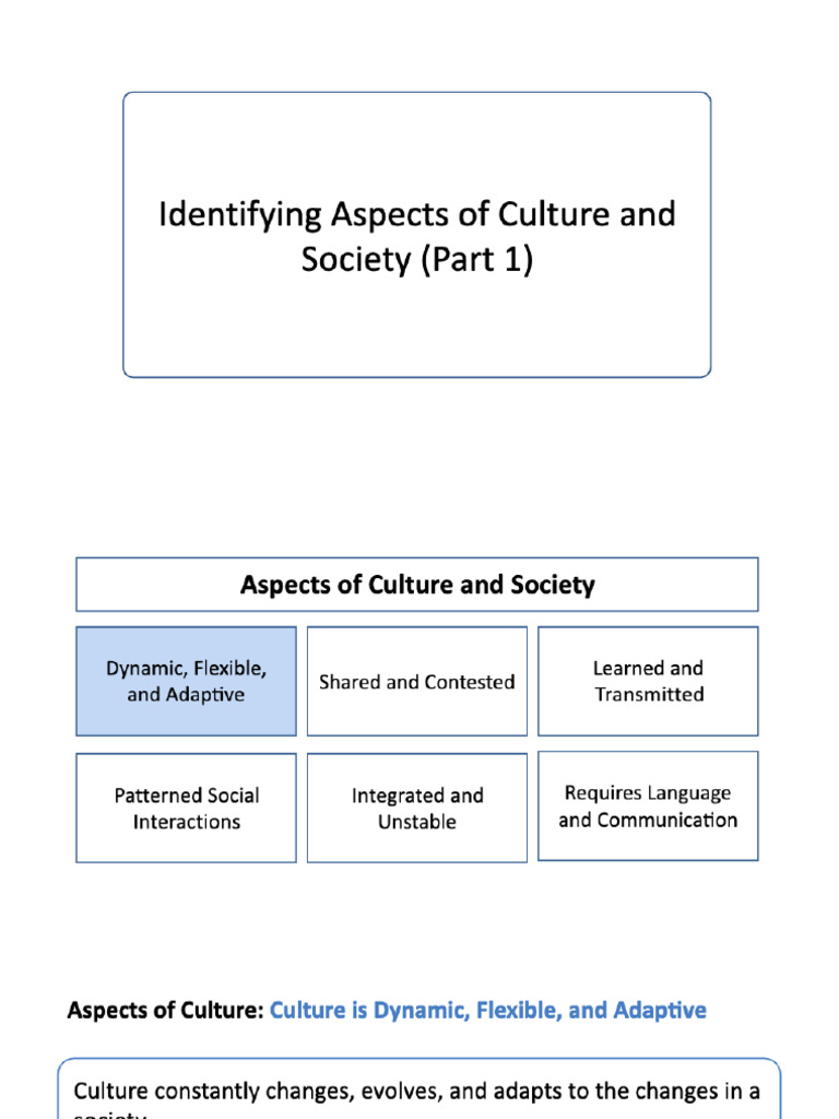 Aspect of Culture and Society | PDF