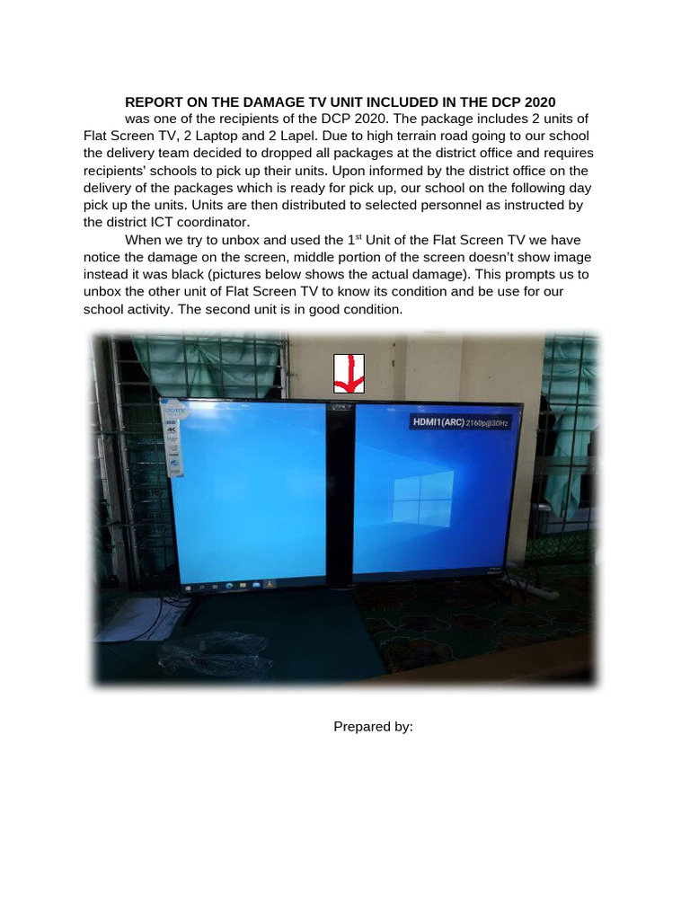 DCP 2020 Flat Screen TV Damage Report | PDF