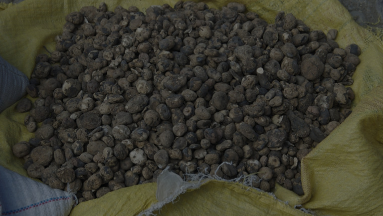 Chuno Liam Barrett | PDF