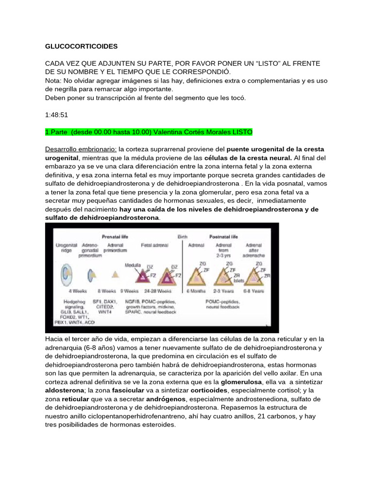 Glucocorticoides: Estructura y Función | PDF | Hormona ...