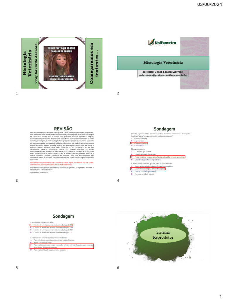 Histovet 10 Sist Reprod 2024.1 | PDF | Testículo | Sistema reprodutivo