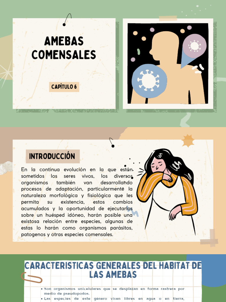 Amebas Comensales Parasitologia | PDF | Especialidades Medicas