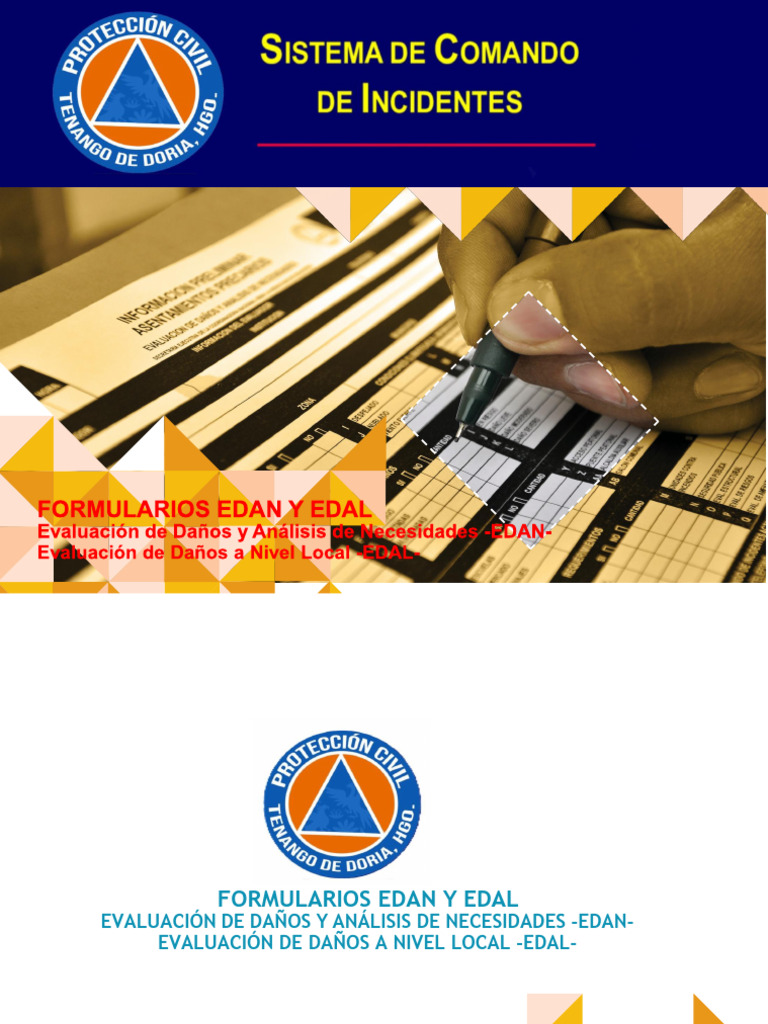 Formatos Edan y Edal | PDF
