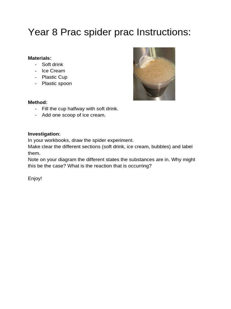 Year 8 Spider Experiment Guide | PDF