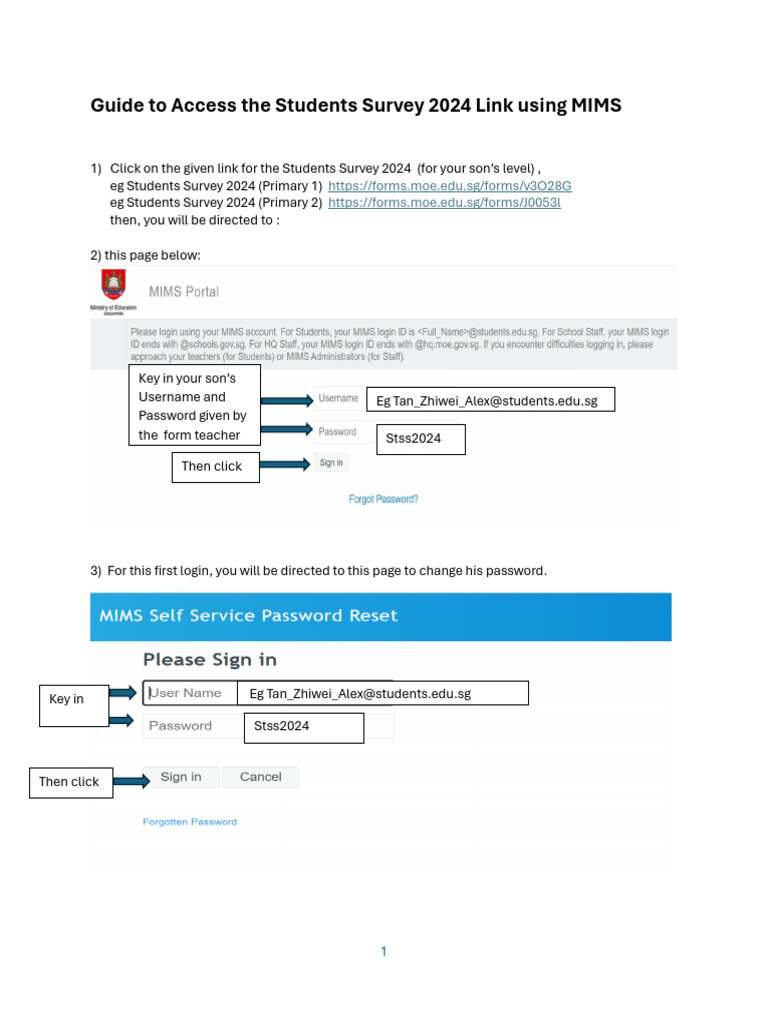 MIMS Password Change Guide for Survey | PDF