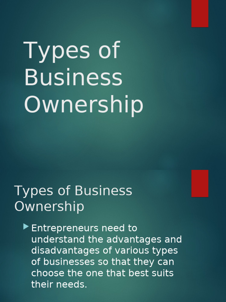 BM 9 Types of Business Ownership | PDF | Partnership | S Corporation