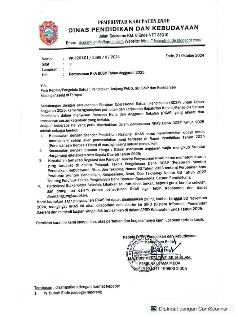 Surat Penyusunan RKAS 2025 | PDF