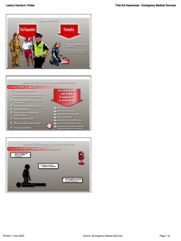 Emergency Medical Services - Handout - 2160 | PDF | Emergency Medical ...