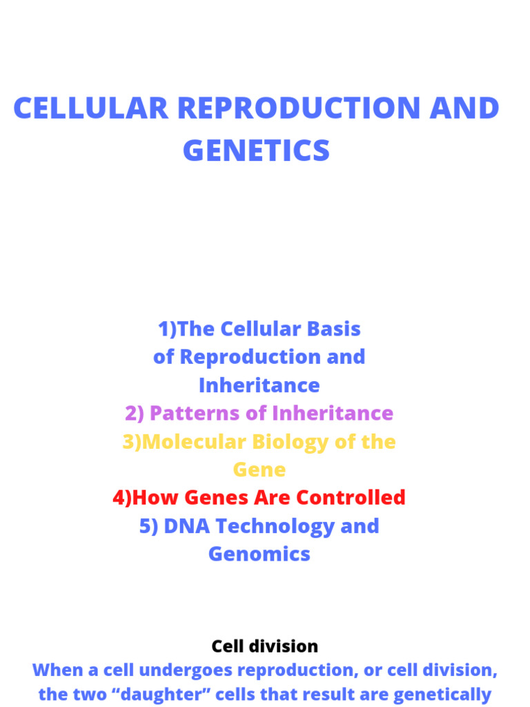 Cellular Reproduction and Genetics-1 | PDF | Ploidy | Sexual Reproduction