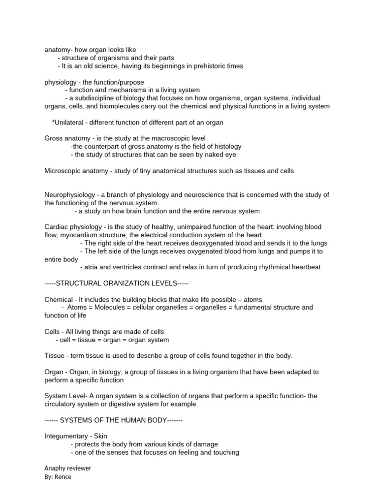 Anaphy Reviewer By: Rence | PDF | Vertebra | Mitosis