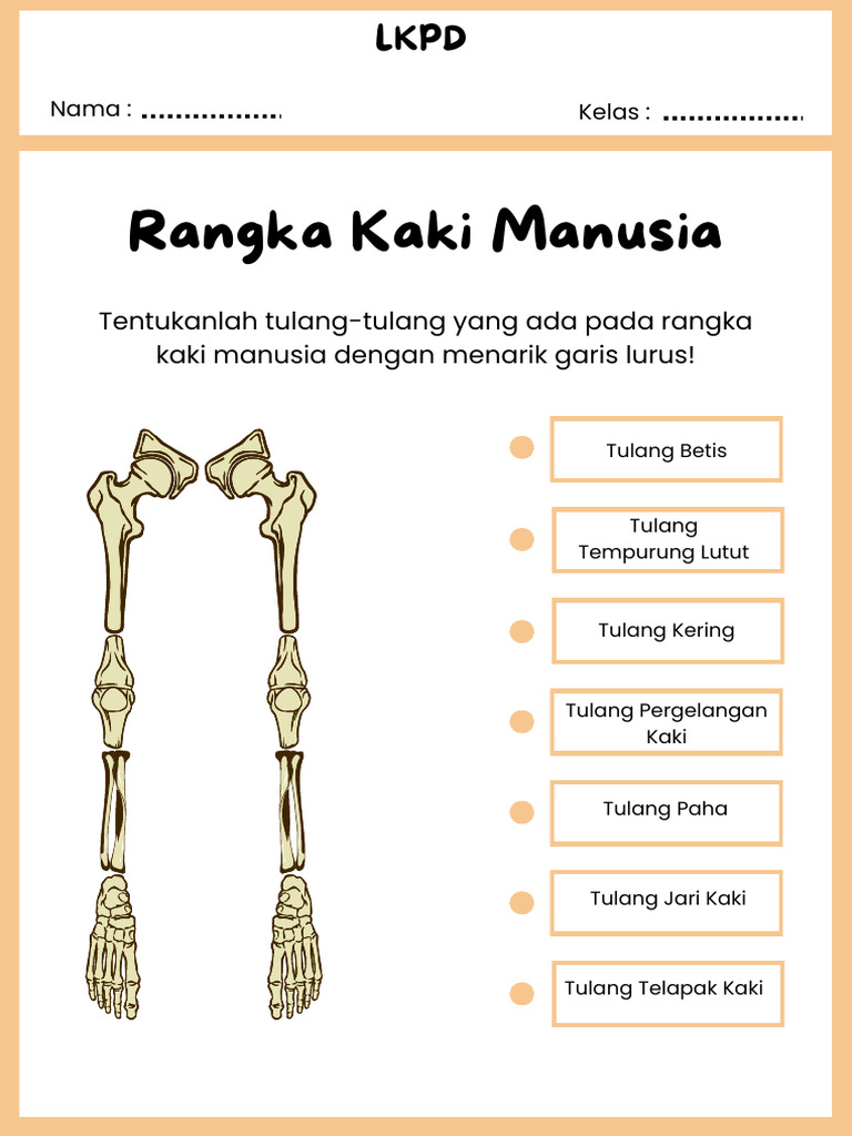 Rangka Kaki Manusia Lembar Kerja Siswa Kuning Gaya Geometri | PDF