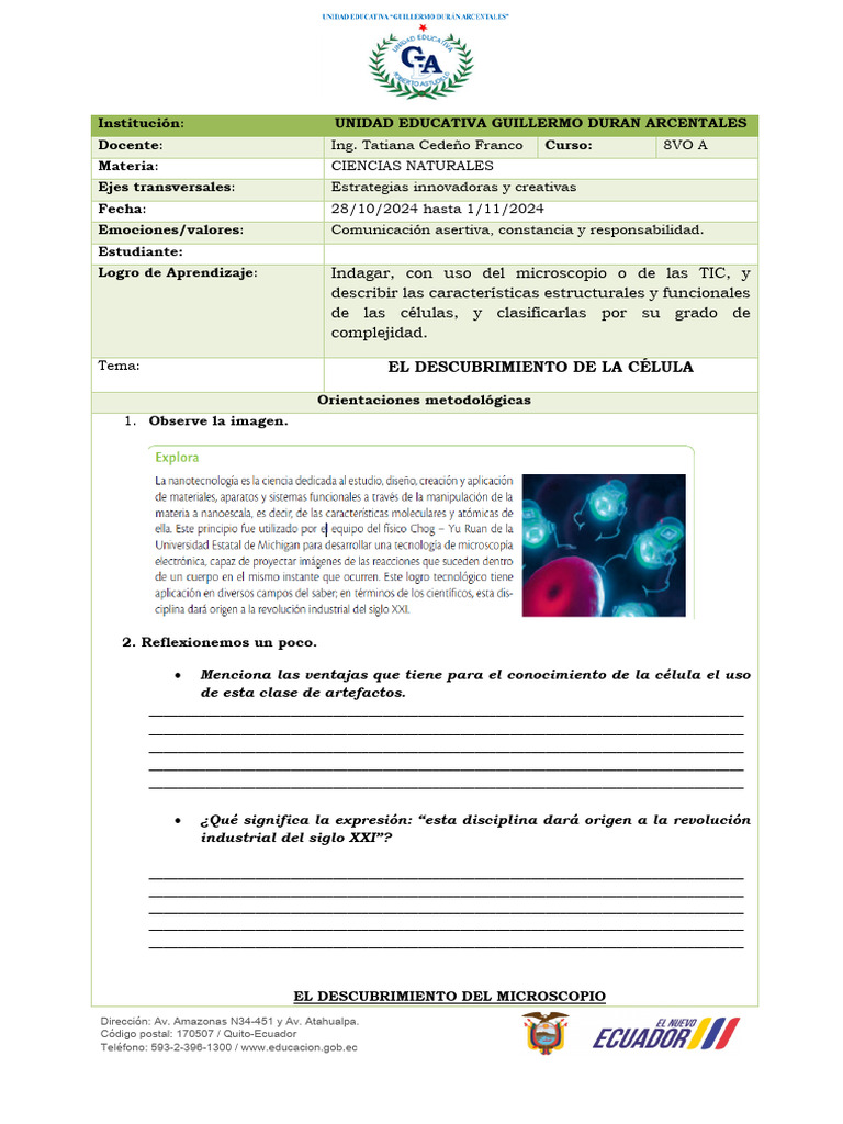 CCNN - Clase4 - 8vo - 28 Al 1 Nov Microscopio | PDF | Microscopio