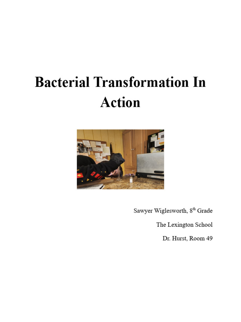 Science Project Lab Report | PDF | Transformation (Genetics) | Plasmid