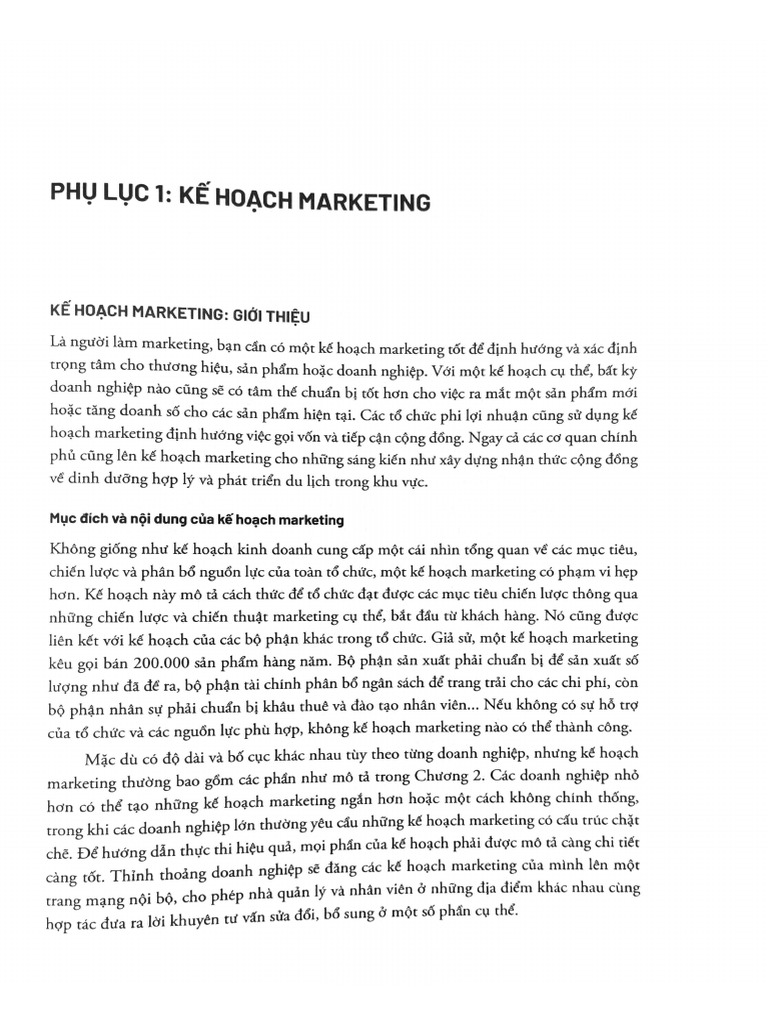 21a - Phu Luc 1 Marketing Plan | PDF