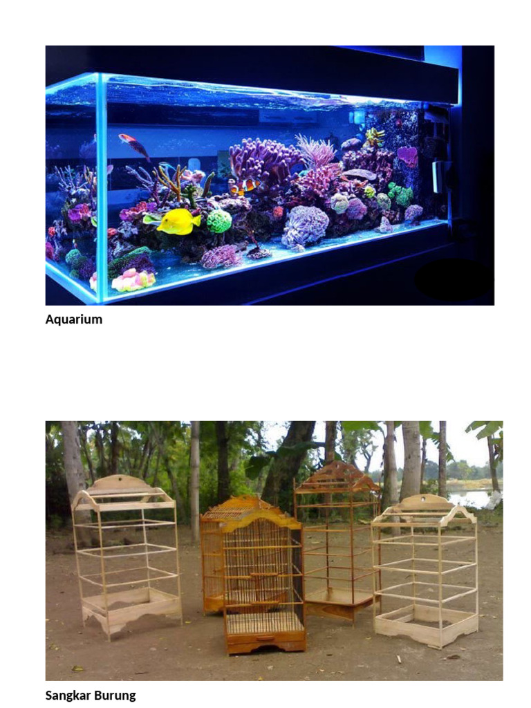 Aquarium | PDF