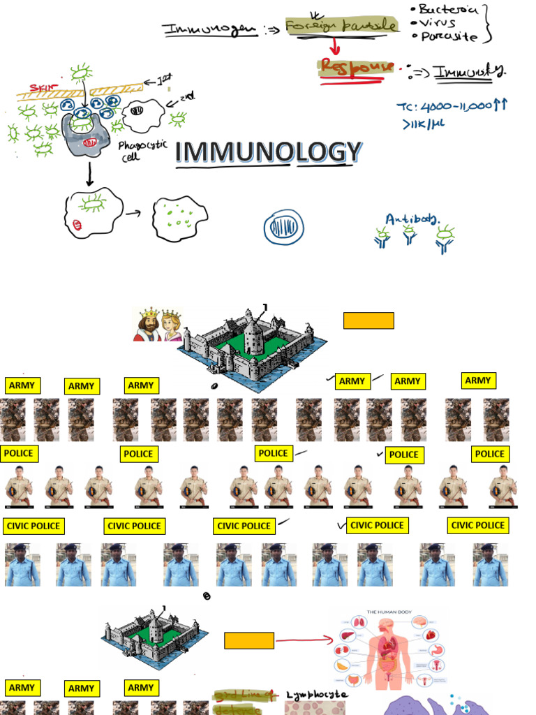 Immunology | PDF