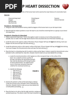 Pig Heart Dissection Manual STEM | PDF | Heart Valve | Atrium (Heart)